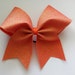 Glitter Flyer cheer bow.