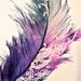 Feather painting print by Siparia on Etsy