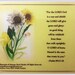 Sunflower Encouraging Card with Inspirational by WingsPublications