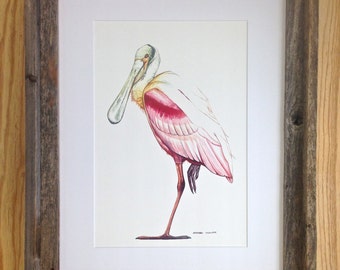 Popular items for spoonbills on Etsy
