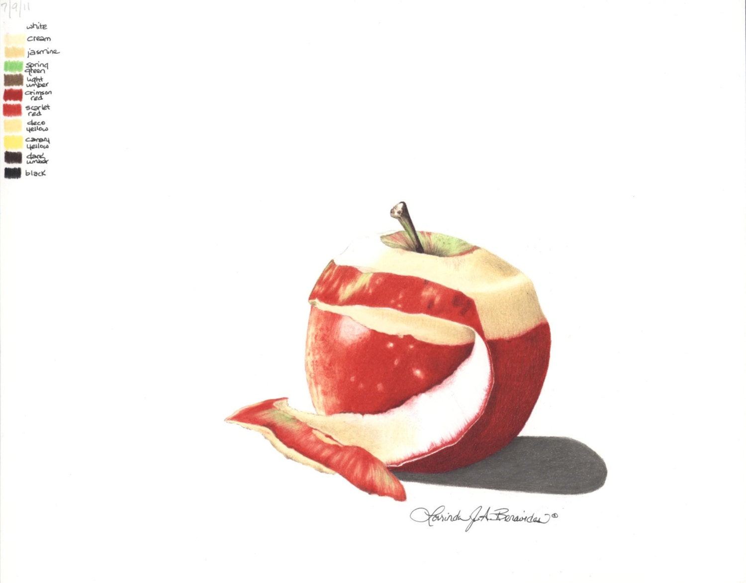 Peeling an Apple. Photo realistic art illustration drawing