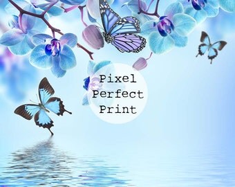 Popular items for butterfly backdrop on Etsy