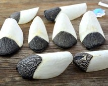 Unique fish scale related items | Etsy