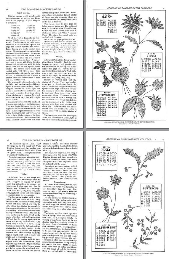 EMBROIDERY LESSONS with Colored Studies Tutorial Book on