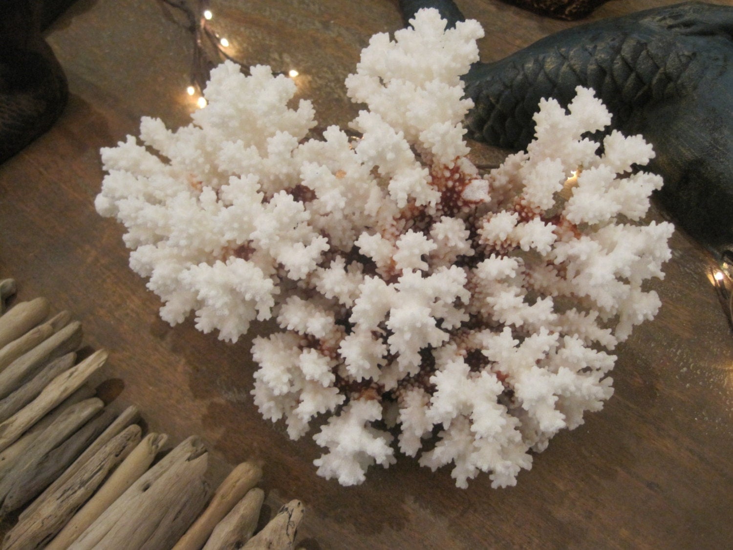 Beach Decor Brown Stem Coral Natural Coral Seashells