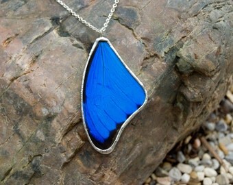 FREE SHIPPING Real Blue Morpho Butterfly Wing Encased in Hand Cut Glass ...