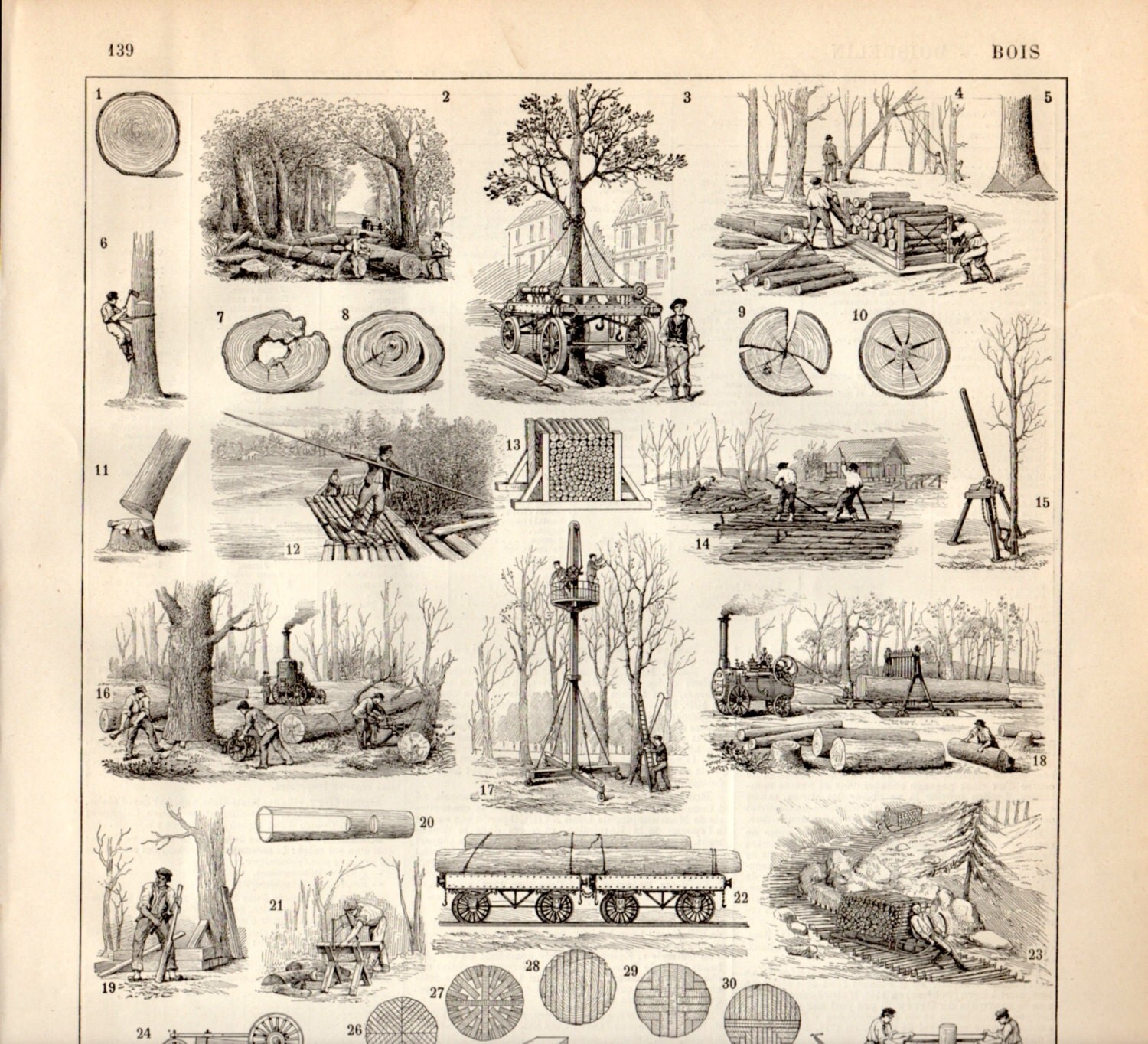 Logging Tools & Equipment 1897 Antique Print Vintage