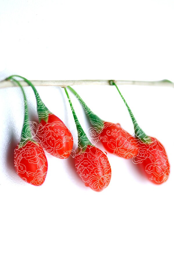 Goji Berries Instant Photo Download – Printable – Wall Decor – Baby ...