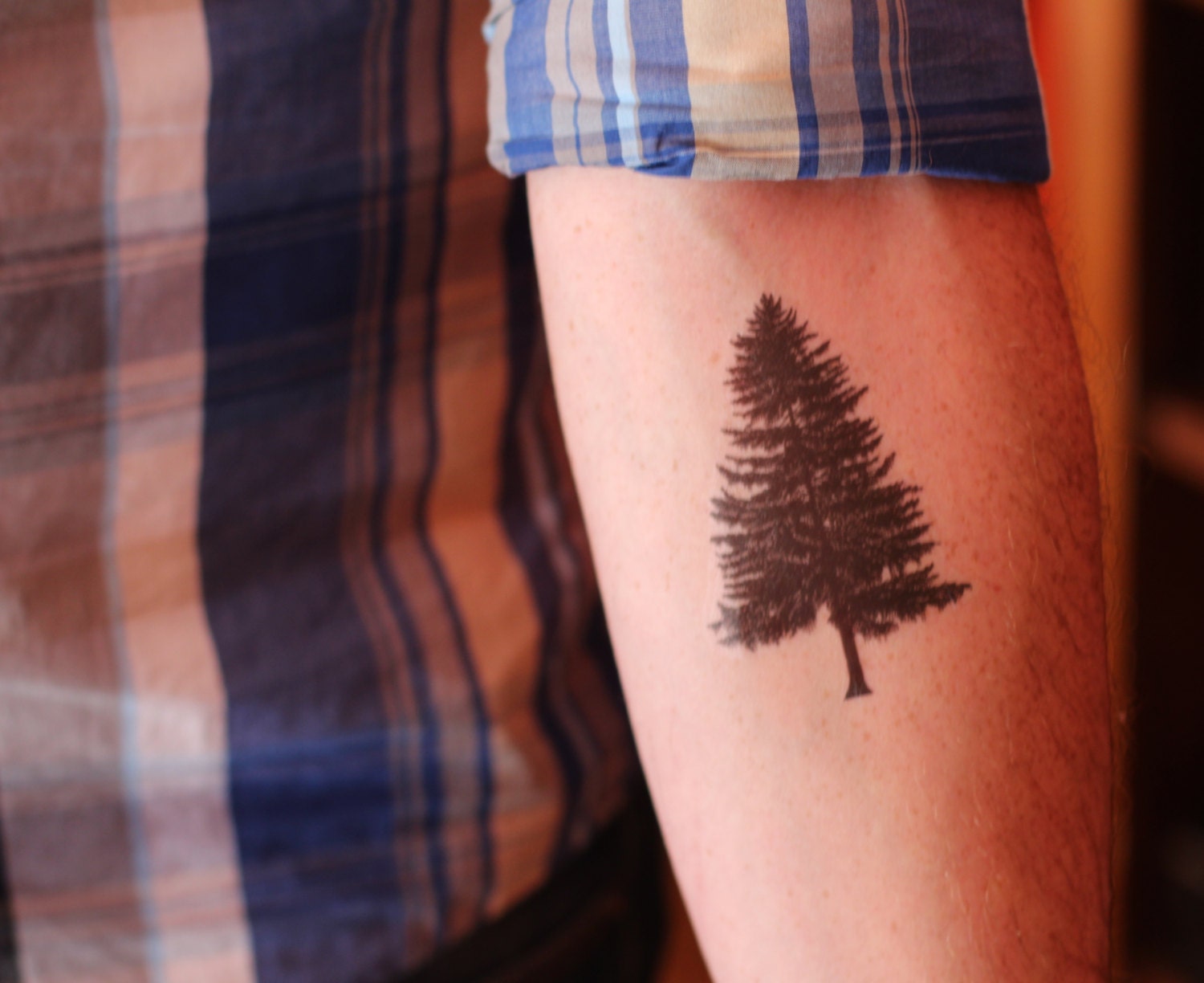 Oregon State Tree Tattoos