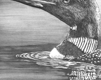 Common loon drawing | Etsy
