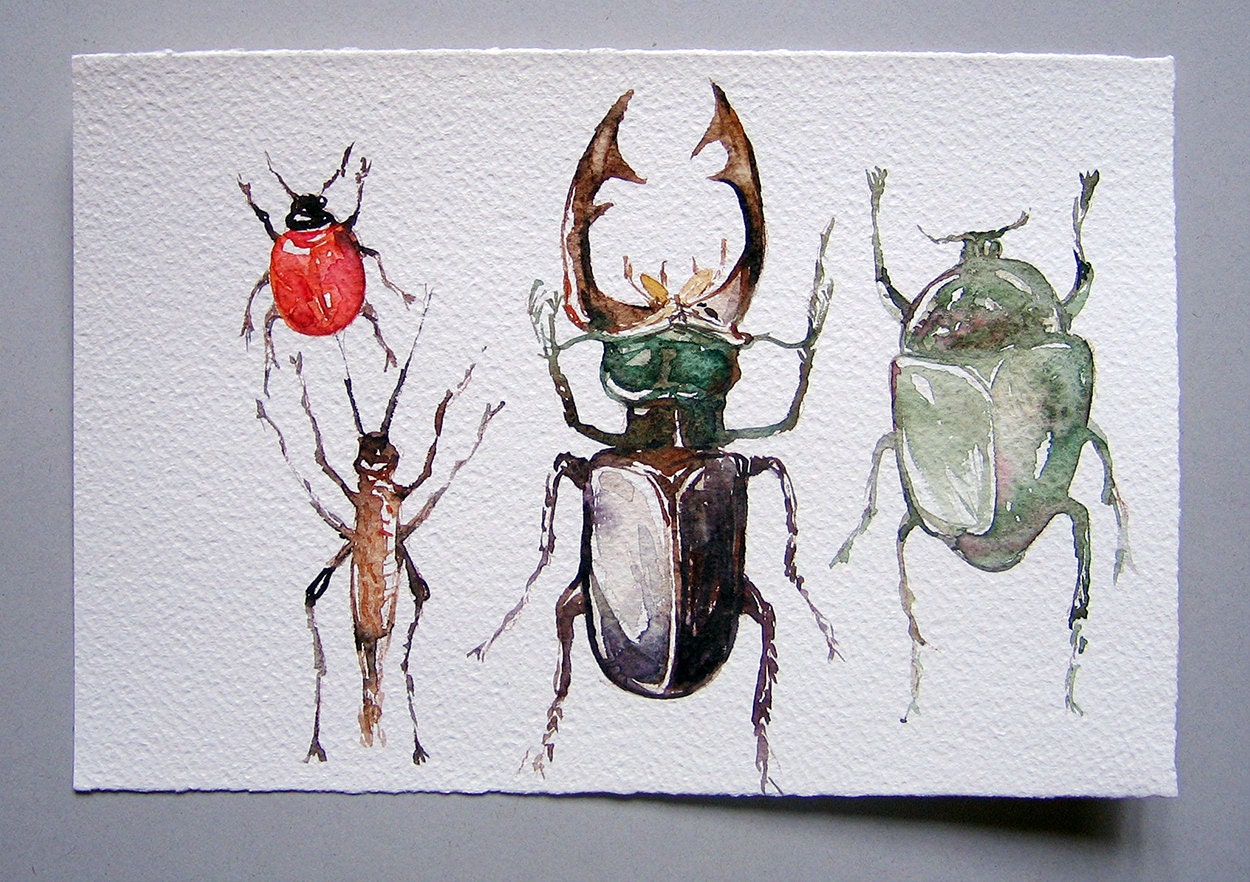 Watercolor painting of Insects. Art original. Watercolor art.
