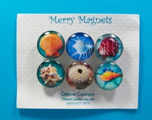 Unique sea glass magnets related items | Etsy