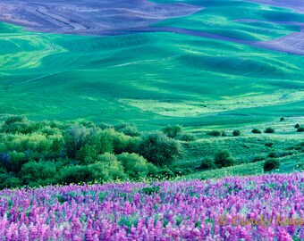 Eastern washington | Etsy