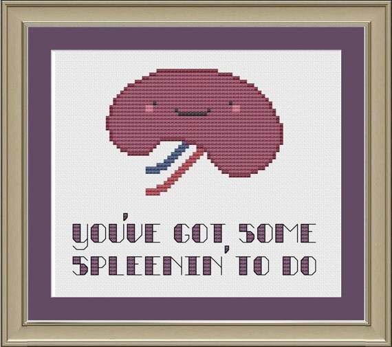 You've got some spleenin' to do: funny spleen anatomy