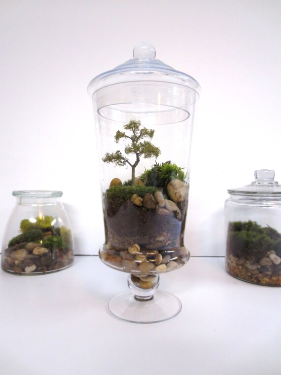Under the Majestic....One Miniature Tree Terrarium by FaerieNest