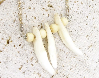 Coyote tooth necklace, modern rustic natural wild animal teeth