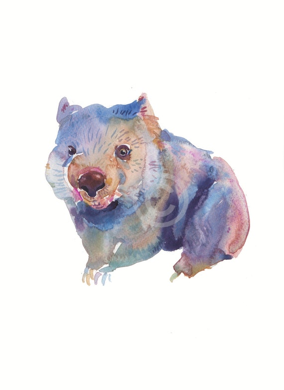 Wombat Size 8x10in Watercolor Painting Art Print
