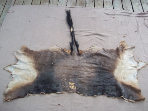 Real Wildebeest hide animal skin genuine leather tanned