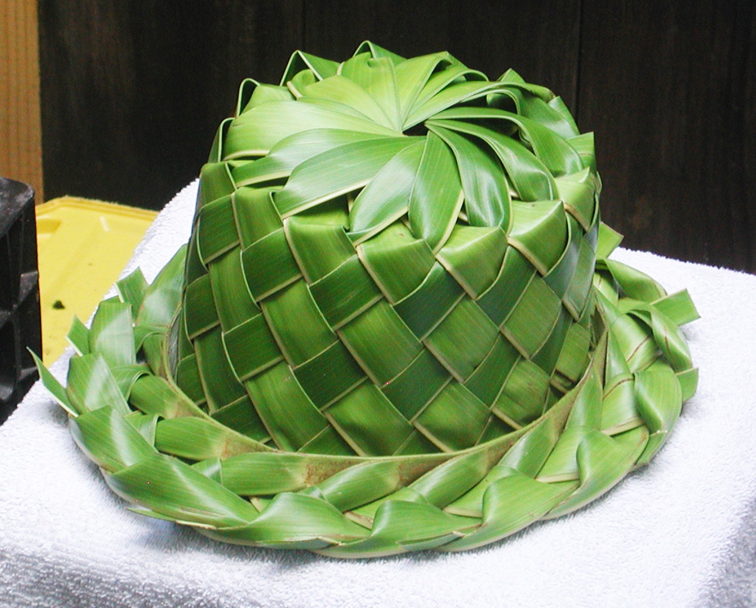 Coconut Palm Tree Or Palm Frond Hat