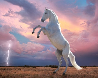 Popular items for magical horse on Etsy