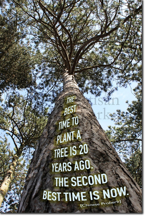 Chinese Proverb Quote Poster The best time to plant a