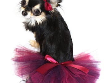 Popular items for dog in tutu on Etsy