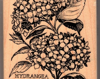Hydrangea stamp | Etsy