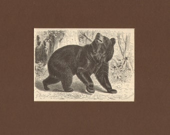 Popular items for matted engraving on Etsy