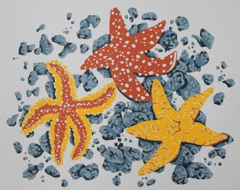 7 x 9.5 Limited Edition Mussel Shell Screenprint