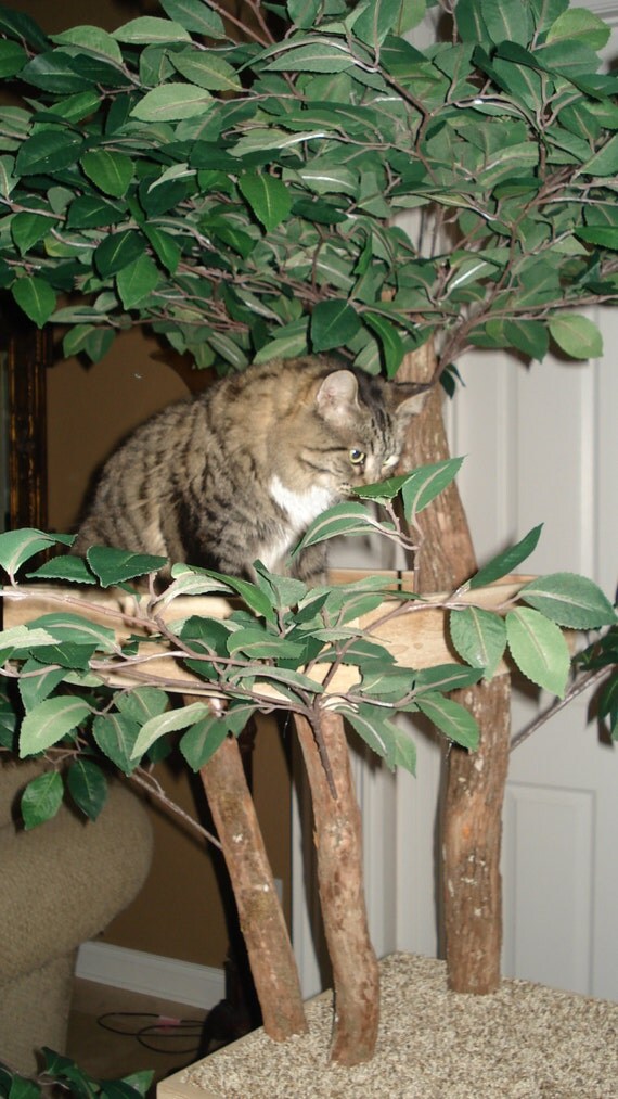 Kit-ty Tree Deluxe with Topper Assembly Cat Tree Kit