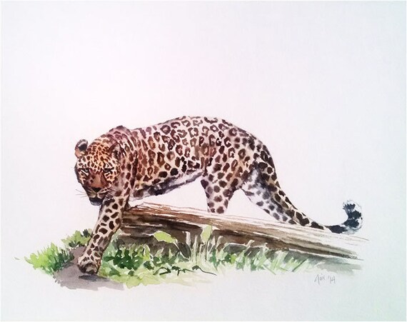 Original Jaguar Painting 14x11 Watercolor