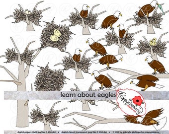 Jungle Rules Class Rules Clipart: 300 dpi by poppydreamz on Etsy