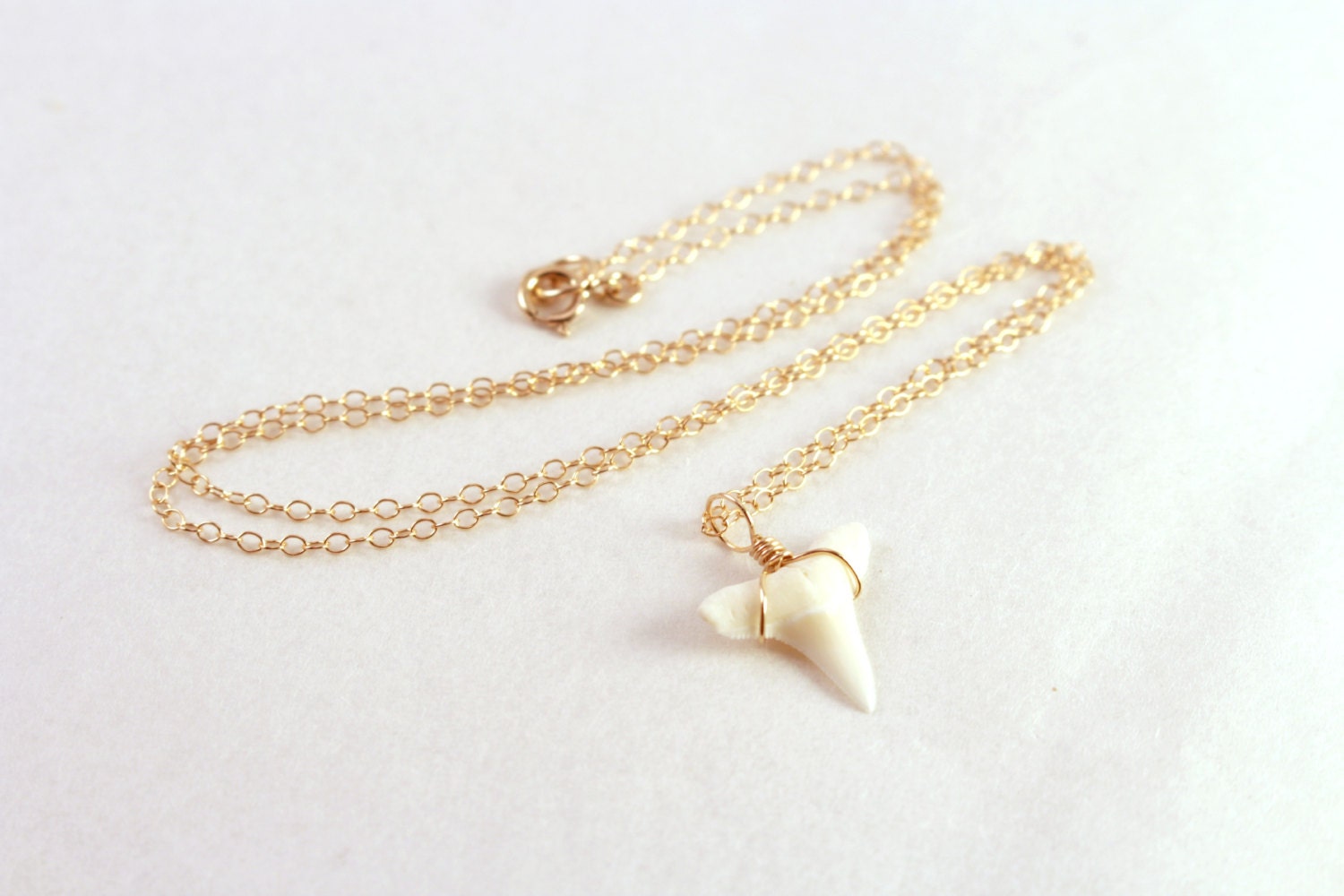 Dainty Shark Tooth Necklace Real Shark Tooth Pendant Gold