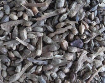 Maple tree seeds | Etsy