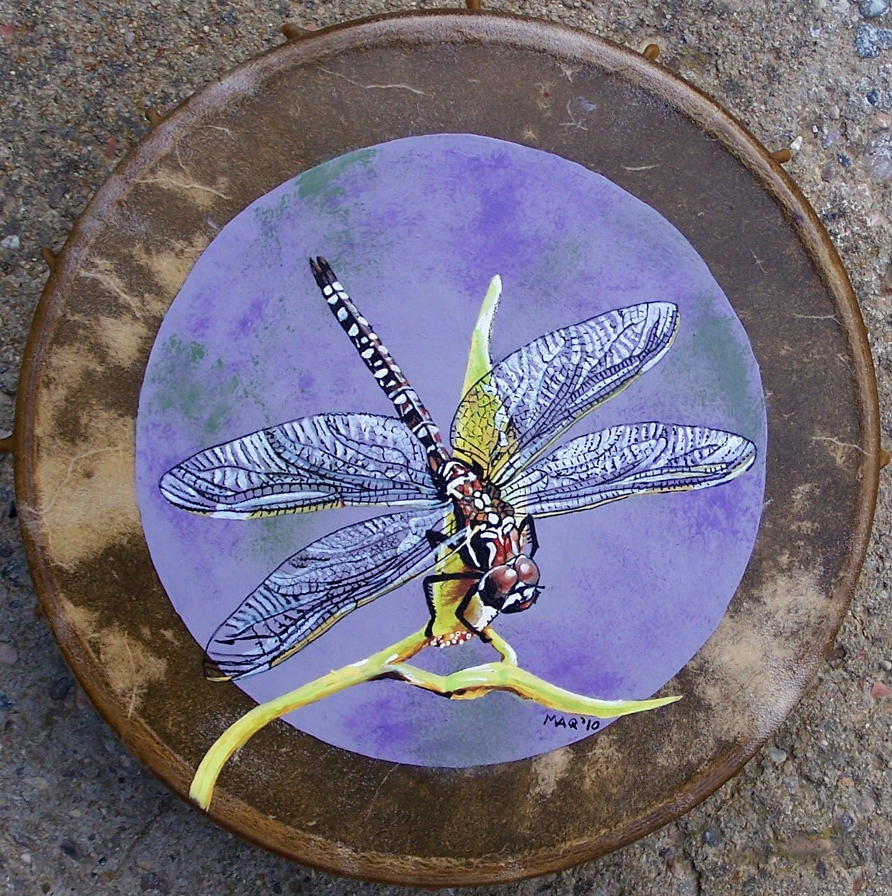 THE MAGIC DRAGONFLY. Gorgeous Native American style 12 x