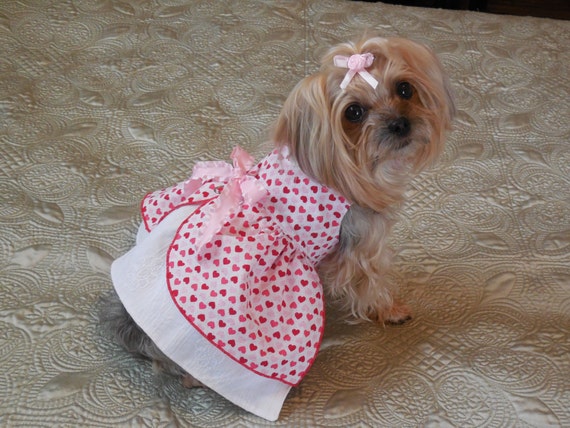Items similar to DOG DRESS with sweet hearts overskirt and detachable ...