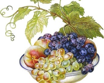 Popular items for grappe de raisin on Etsy