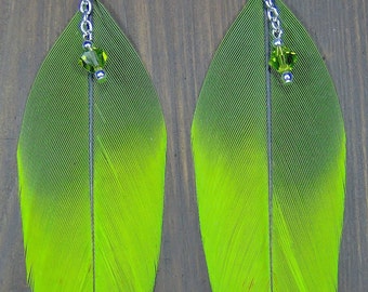 Long Dark to Light Green two tone Amazon Parrot Feather Earrings with ...