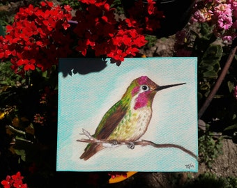 Popular items for annas hummingbird on Etsy