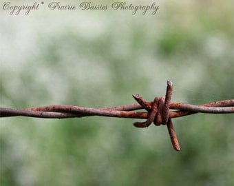 Rusty barbed wire | Etsy