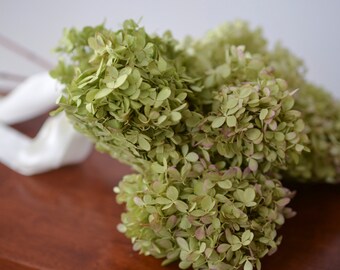 Dried hydrangeas | Etsy