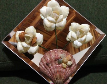Popular items for seashell roses on Etsy