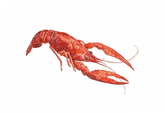 Items similar to Crayfish Kitchen Art watercolor painting - seafood ...