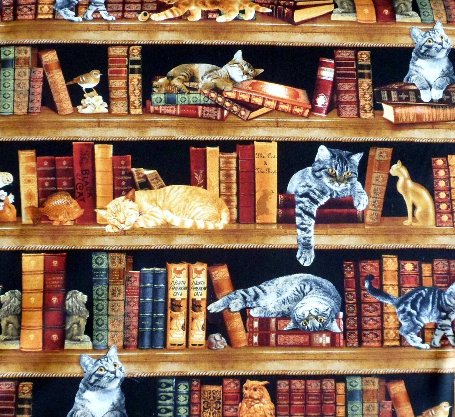 Library Books Fabric Kittens Fabric TImeless Treasures