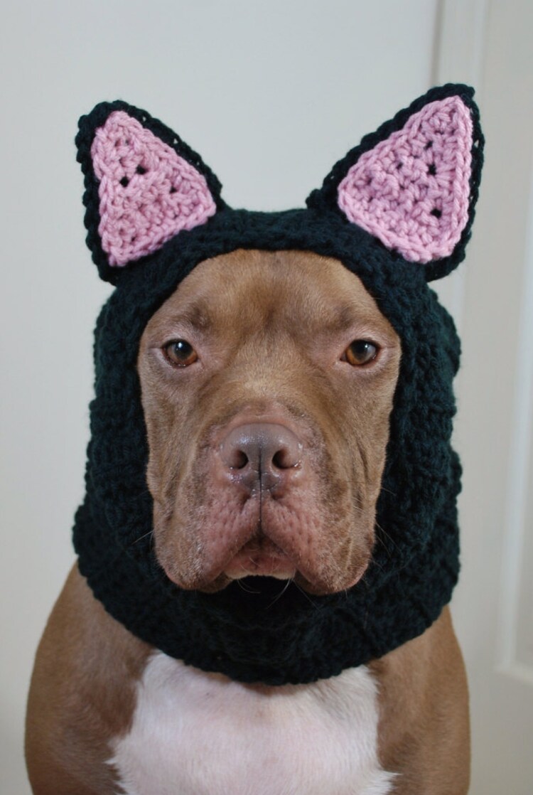 Black Cat Dog Snood MADE TO ORDER by courtanai on Etsy