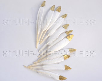 Craft feathers | Etsy