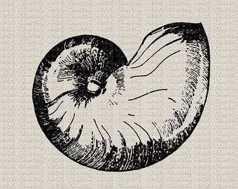 Seashell clip art | Etsy