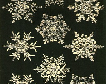 Popular items for printed snowflakes on Etsy