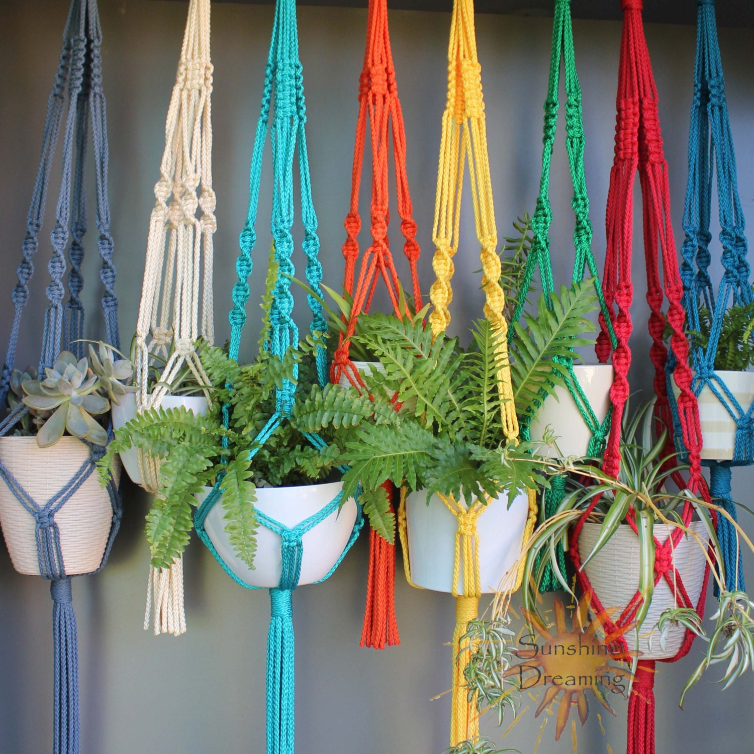 Large Macramé Plant Hangers in assorted colours