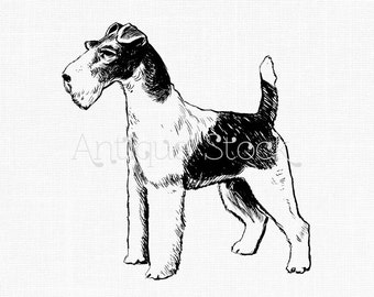Fox terrier clip art | Etsy